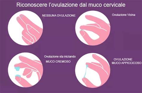 Muco Cervicale come Capire quando si Può rimanere Incinta Salute News