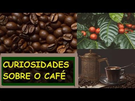 Curiosidades Sobre O Cafe Curiosidades Youtube