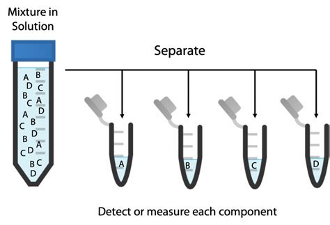 Separation And Detection Of Amino Acids BIOC 2580 Introduction To