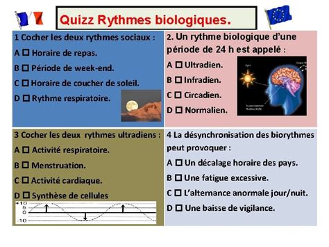 Quizz Rythmes Biologiques Cocher Les Deux Rythmes