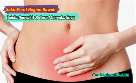 Perut Bagian Bawah Keras Dan Sakit Jika Ditekan Homecare24