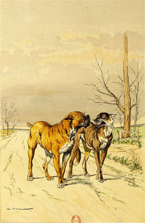 Le Loup Et Le Chien Fable De Jean De La Fontaine Fables De La Fontaine