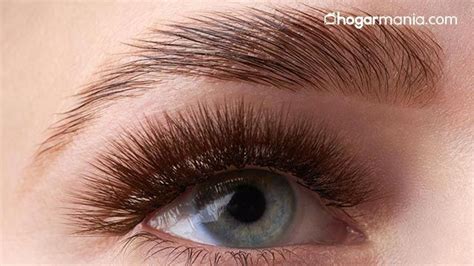 Subdividir Deportista Resplandor Sombreado De Cejas Cuanto Dura Disco