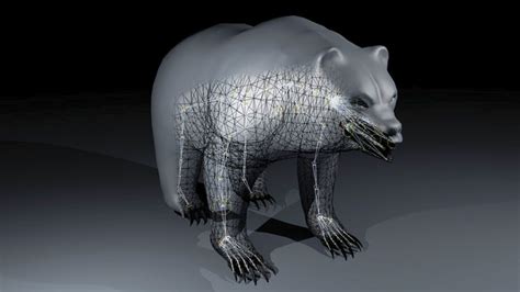 Bear Hosted At ImgBB ImgBB
