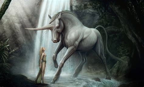 Pretty Unicorn Backgrounds Wallpapers