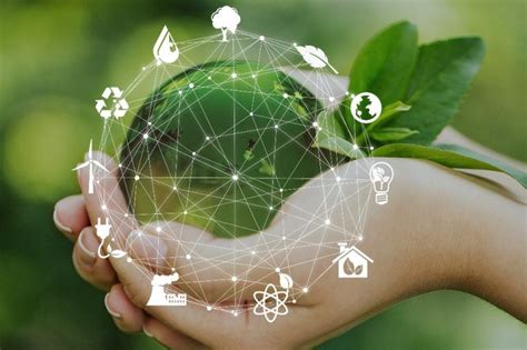 Cómo aplicar la economía circular en empresas agroindustriales