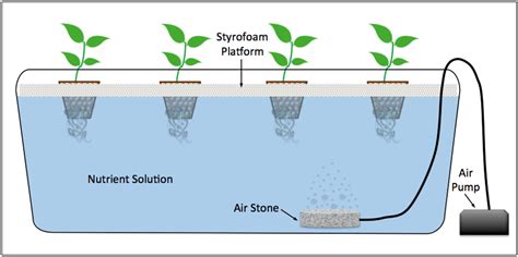 How To Build A Hydroponics System Kobo Building