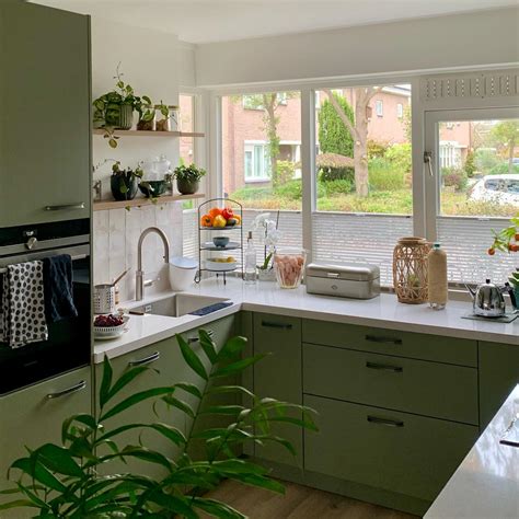 Olive Green Kitchen Cabinets Cabinets Matttroy
