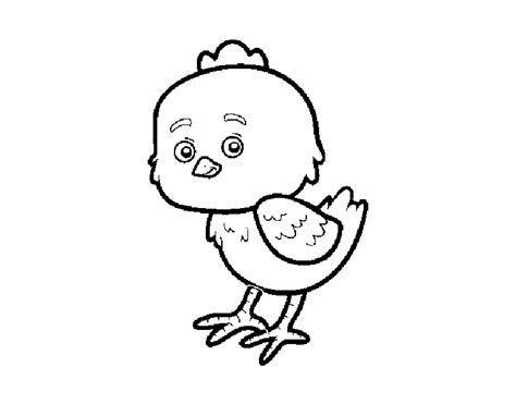 Dibujos De Pollitos Para Colorear Descargar E Imprimir Colorear Im Genes