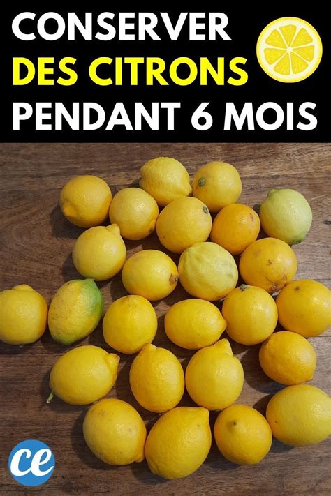 L Astuce Pour Conserver Vos Citrons Frais Pendant 6 Mois Et Éviter Qu