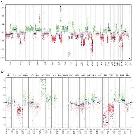 plots of copy numbers a copy number plot of the entire genome in the download scientific