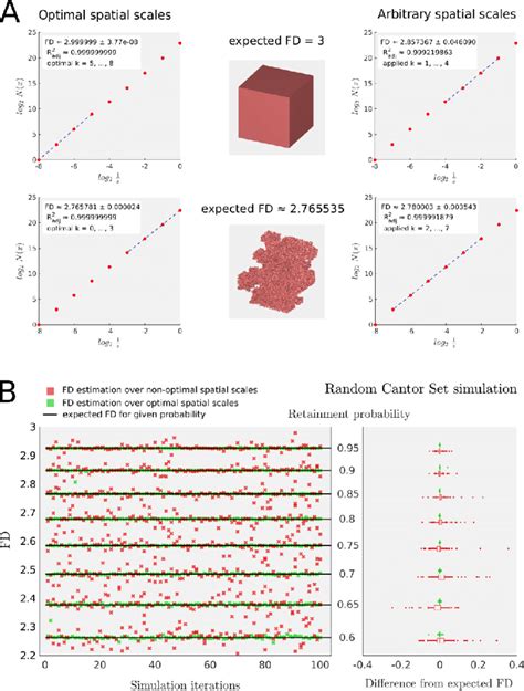 fractal dimension estimation with spatial scale optimization panel a download scientific