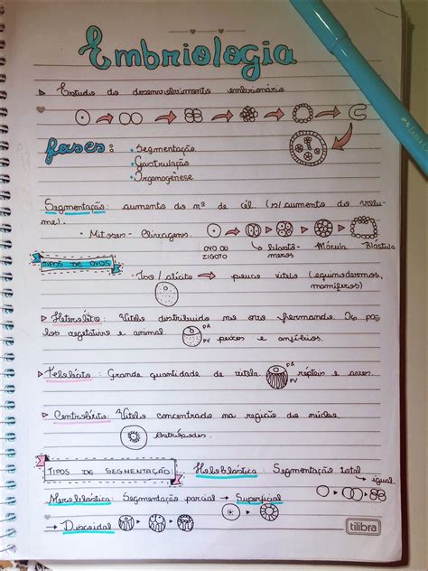 Mapas Mentais Sobre EMBRIOLOGIA Study Maps