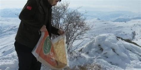 Bayburtta Yaban Hayvanları İçin Doğaya Yem Bırakıldı