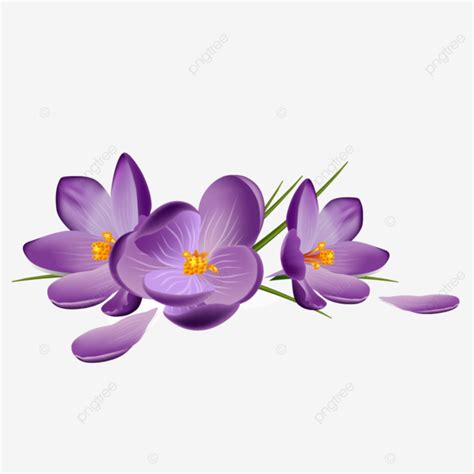 Purple Flower Flower Purple Spring PNG And Vector With Transparent