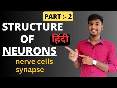 Neurons Structure Function In Hindi Neurons Kya Hote Hai Nerve
