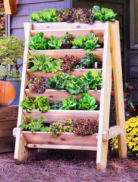 35 Creative Container Vegetable Garden Ideas A Piece Of Rainbow