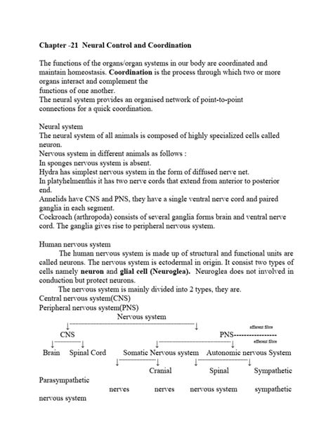 neural control and co ordination pdf chemical synapse nervous system