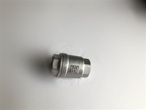 1 2 4 Female Thread Bsp NPT BSPT Spring Lift Vertical Check Valve