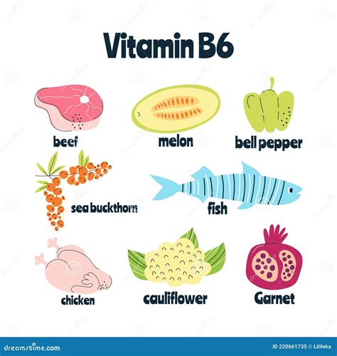 The Main Food Sources Of Vitamin B6 Healthy Food Concept Stock Vector