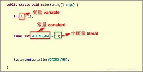java for selenium java中的变量variable、常量constant、字面量literal variable constant literal csdn博客