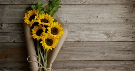 How To Make Sunflower Seeds From Bouquets Bouqs Blog