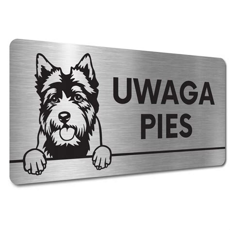 TABLICZKA UWAGA ZŁY GROŹNY PIES Norwich Terrier Inna marka Sklep