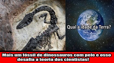 Mais Um F Ssil De Dinossauros Pele E Osso Desafia A Teoria Dos