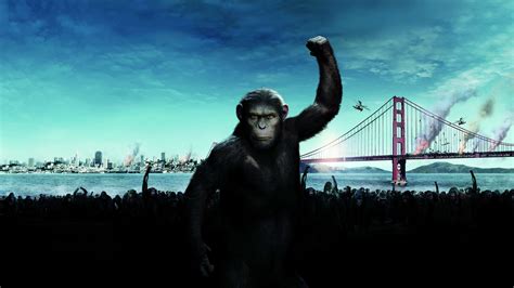 Planeta Dos Macacos A Origem Dragon Future