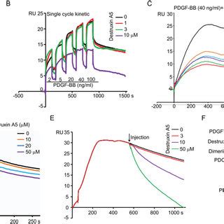 PDGF BB PDGFR ββ signaling was inhibited by destruxin A5 A The