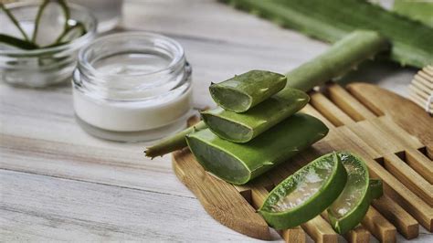 Cinco Plantas Medicinales Para Cuidar La Piel La Despechada