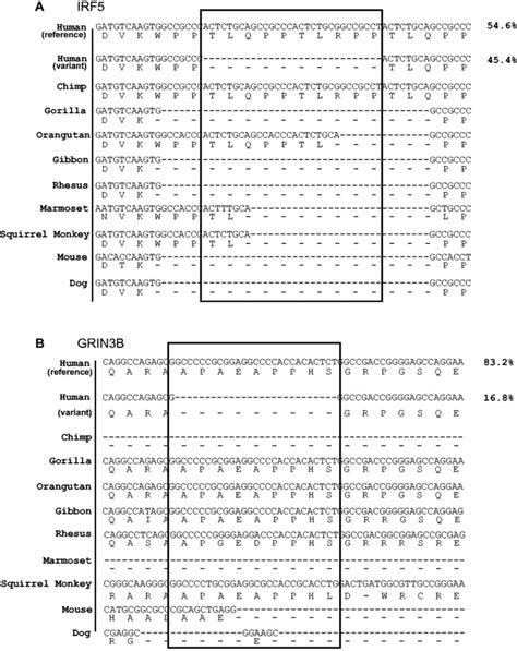 multiple sequence alignments of indel and subset of multiz 100 download scientific diagram