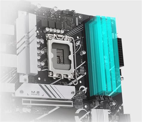 Prime B Plus D Motherboard Asus Middle East