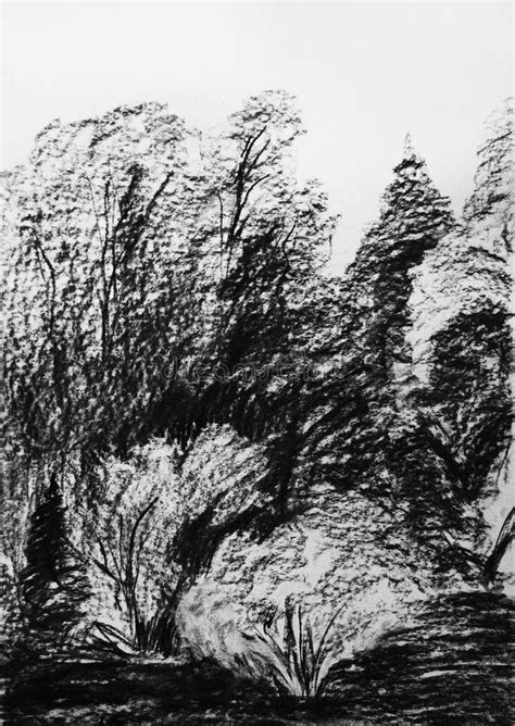 Descubrir Imagen Dibujos A Lapiz Blanco Y Negro Viaterra Mx