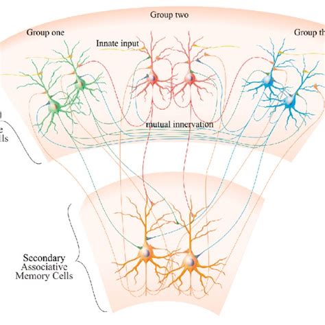 pdf associative memory cells and their working principle in the brain