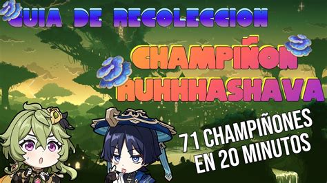 GUIA DE FARMEO DE CHAMPIÑONES RUKKASHAVA GENSHIN IMPACT 2023