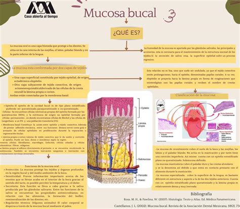 Resúmenes de Salud bucal Descarga apuntes de Salud bucal