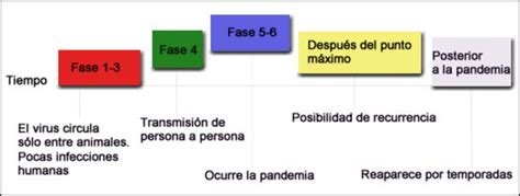 Fases De Una Pandemia BBC News Mundo