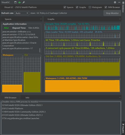 JDK VisualGC IntelliJ IDEs Plugin Marketplace