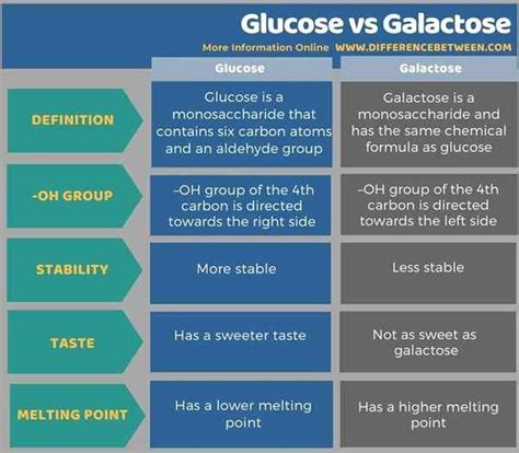 Diferencia Entre Glucosa Y Galactosa Prodiffs