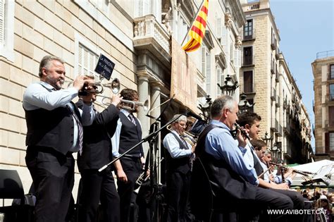Avibotet Cat DIADA DE SANT JORDI 2017