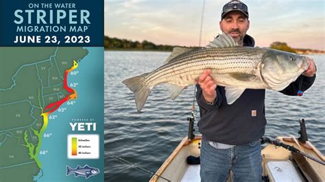 Striper Migration Report June 23 2023 YouTube