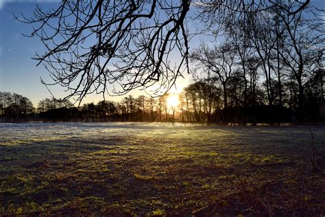 Free Images Landscape Tree Nature Forest Branch Winter Sky Sun