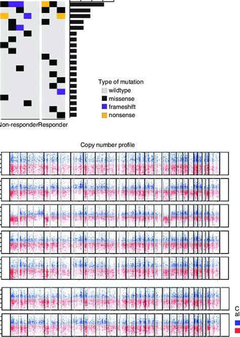 mutational and whole genome wide copy number variation landscape in download scientific diagram