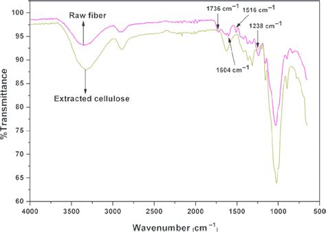 FTIR Spectra Of Raw Fiber And Extracted Cellulose Vibrations Of