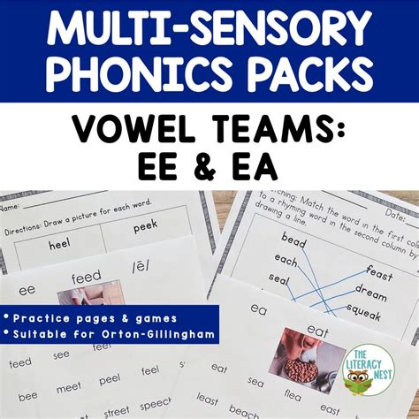 Vowel Team OE Orton Gillingham Multisensory Phonics Structured