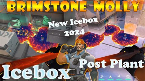 Top New Icebox Brimstone Post Plant Lineups Brimstone Lineups