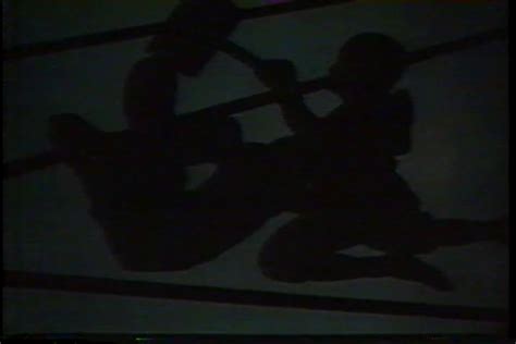 Supervised By Fred Avery Tex Avery S Warner Brothers Cartoons June