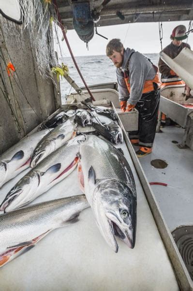 Gestão Responsável de Pesca Alaska Seafood