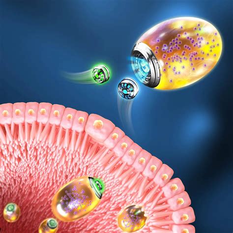 Revolutionary Twin Bioengine Nanorobots For Gastrointestinal